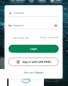 UAE Police Case Check: Fast & Easy Online Guide