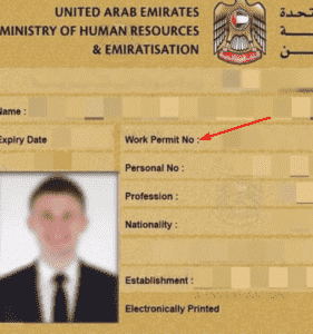 Get Your UAE Labour Card Number in Minutes! (Online, App, More)