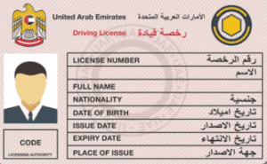 UAE Category 4 License Guide 2026: Drive Heavy Trucks